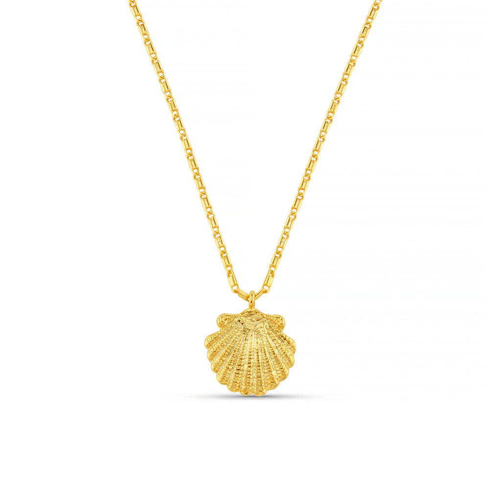 Shell Charm Necklace