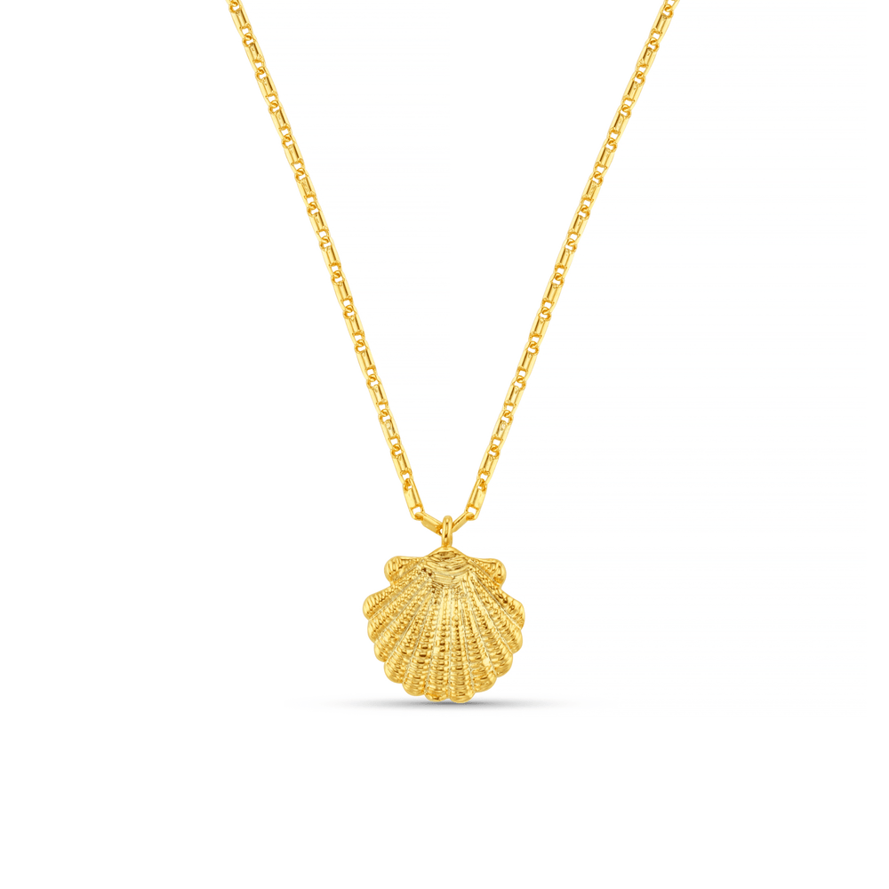 Shell Charm Necklace